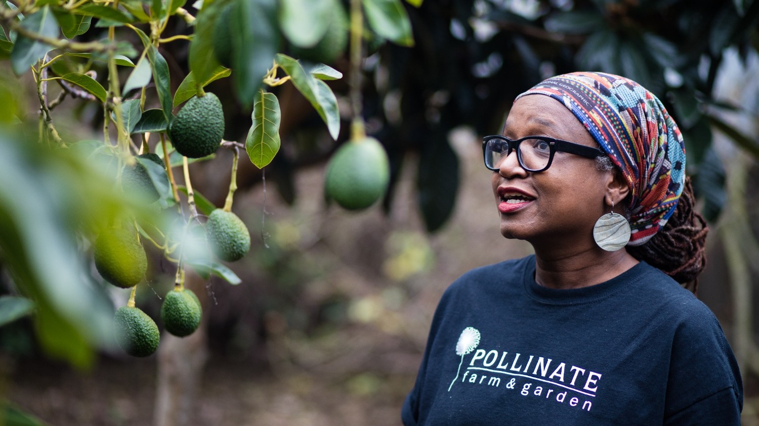 de 9 voordelen van microkredieten | Wakibi